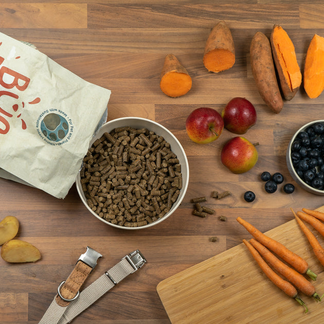 Insect Based Dog Food Multipacks - Regular & Grain Free Options – Bug Bakes