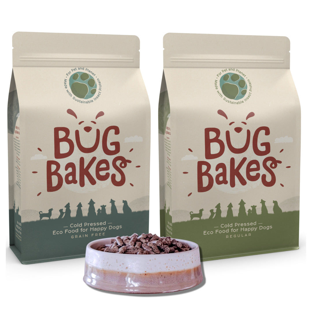 Insect Based Dog Food Multipacks - Regular & Grain Free Options – Bug Bakes