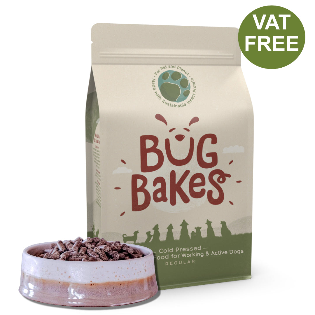 Regular - Hypoallergenic Dry Dog Food Insect Protein Cold-Pressed – Bug ...
